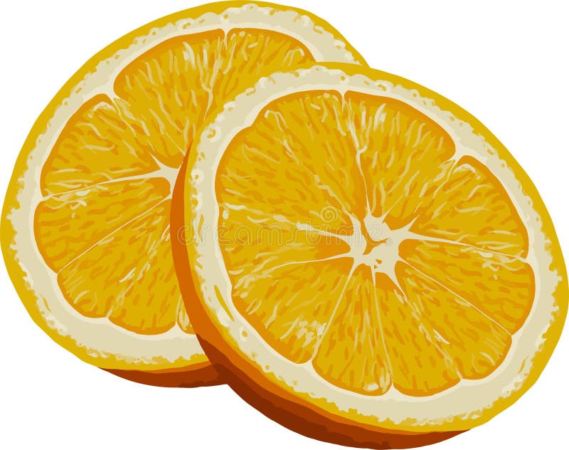 2 Pieces of Half-cut Slice Orange Stock Vector - Illustration of ...