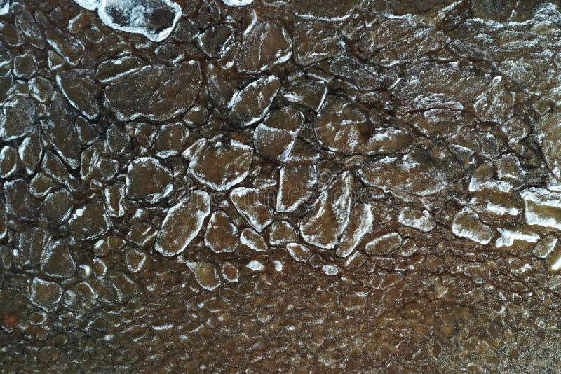 Pieces of Ice Float on Waves, Ice Plaques, Sandy Coast, Stones, Spring ...