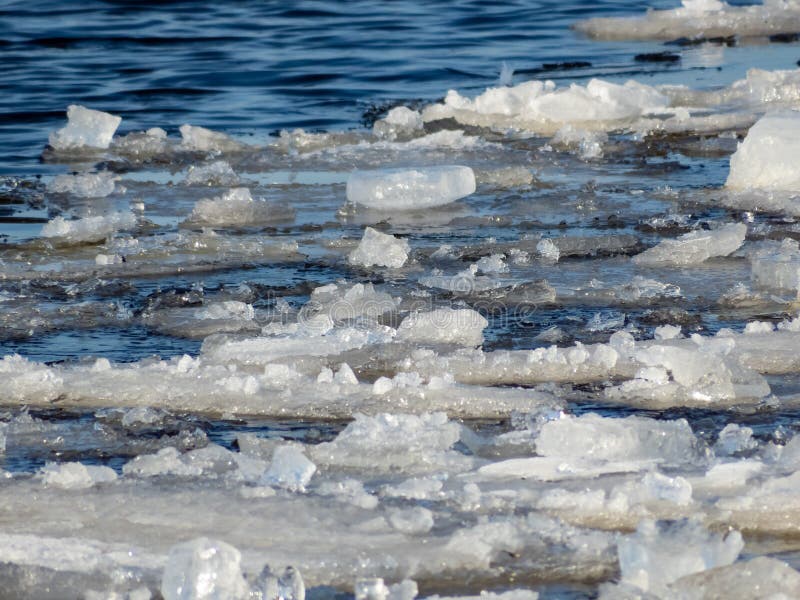 Ice floating in the water stock image. Image of cold - 173201643