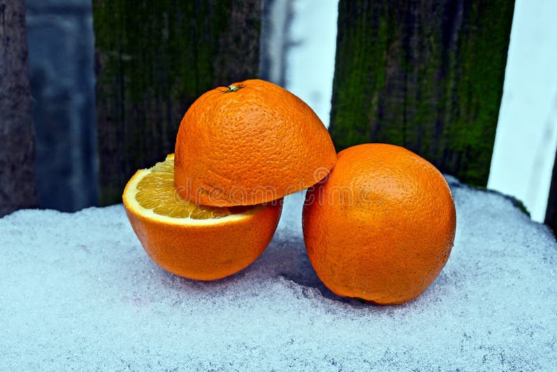Pieces of Orange in the Yard in the Snow Stock Image - Image of street ...