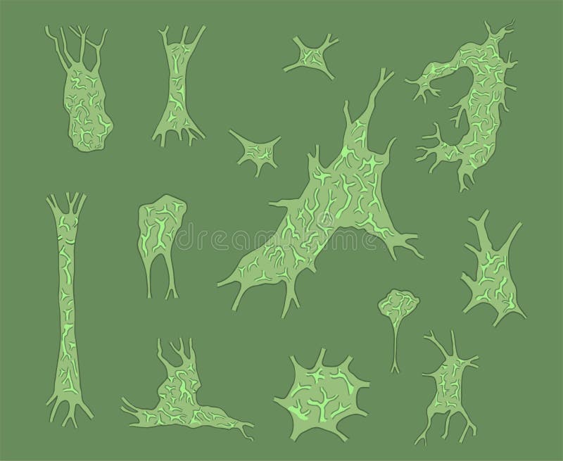 Pieces of Organic Material Set Stock Vector - Illustration of material ...