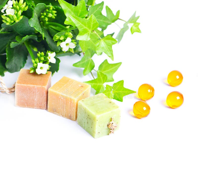 Pieces of Organic Soap with Plant Stock Image - Image of white, leaf ...