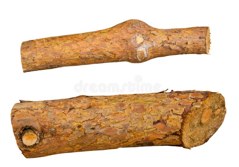 Pieces of pinewood stock photo. Image of pine, forest - 25335900
