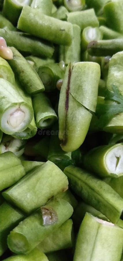 Snake Guard with Electric Post Stock Photo - Image of guard ...
