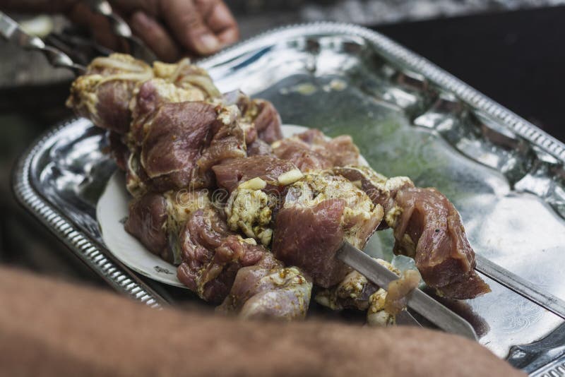 Pieces of Raw Pork Meat on Skewers, Cooking Meat on a Fire Stock Image ...