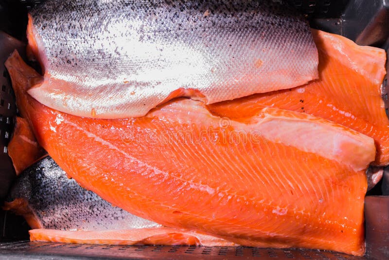 Pieces of Red Fish with Skin Chilled, Lying in a Black Container, for ...
