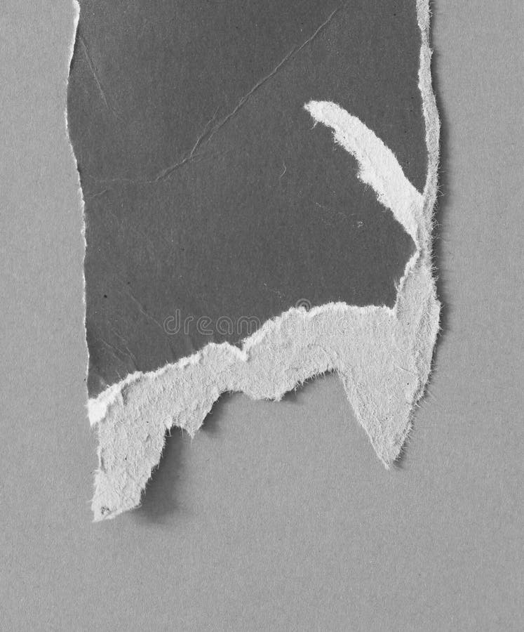 Rip Torn Paper Texture Background Stock Image - Image of paper, pieces ...