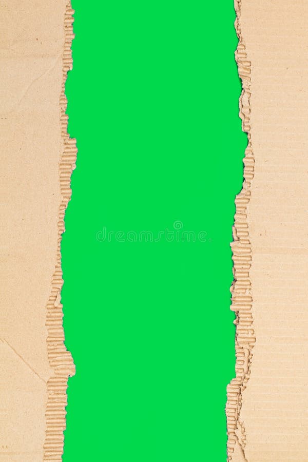 Pieces of Ripped Cardboard on a Green Background Stock Photo - Image of ...