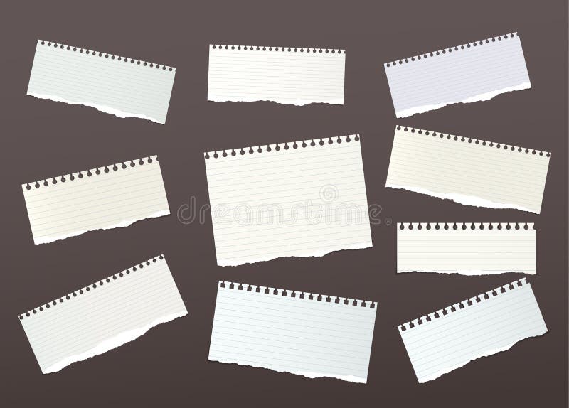 Pieces of Ripped Ruled, Note, Notebook, Copybook Paper Strips. Stock ...