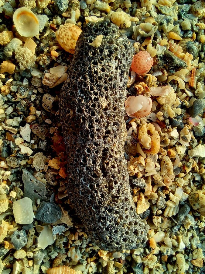 Pieces of Rock in the Sea Sand Stock Photo - Image of pieces, details ...