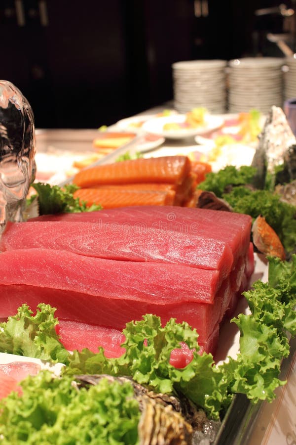 Pieces of Salmon and Tuna Fish Stock Photo - Image of front, cook: 25371142