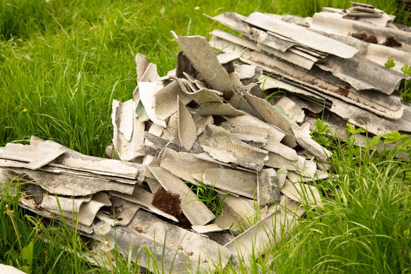 Pieces of Slate from the Roof Lie on the Grass Stock Photo - Image of ...