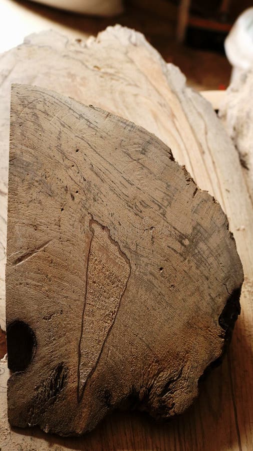 Unique Texture of the Brushed Surface of the Solid Wood Stock Photo ...