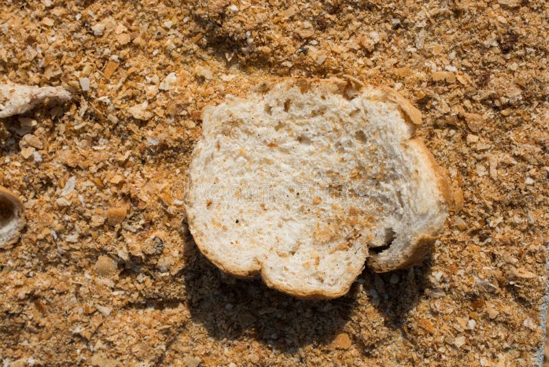 Bread Thrown in the Trash, Waste of Bread, Stale Piece of Bread Stock ...