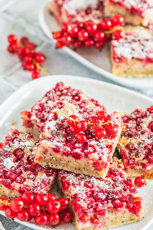 Pieces of Summer Pie with Red Currants Stock Image - Image of rustic ...