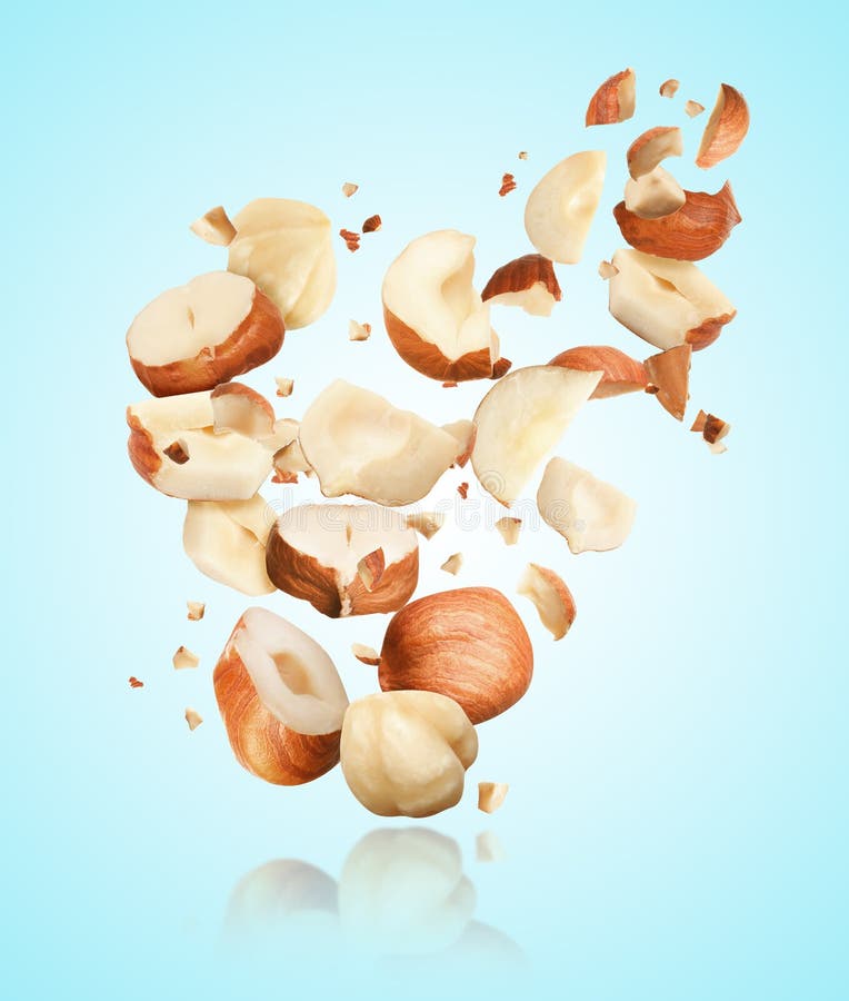 Pieces of Tasty Hazelnuts Falling on Light Blue Background Stock Image ... Pieces of Tasty Hazelnuts Falling on Light Blue Background Stock Image ...