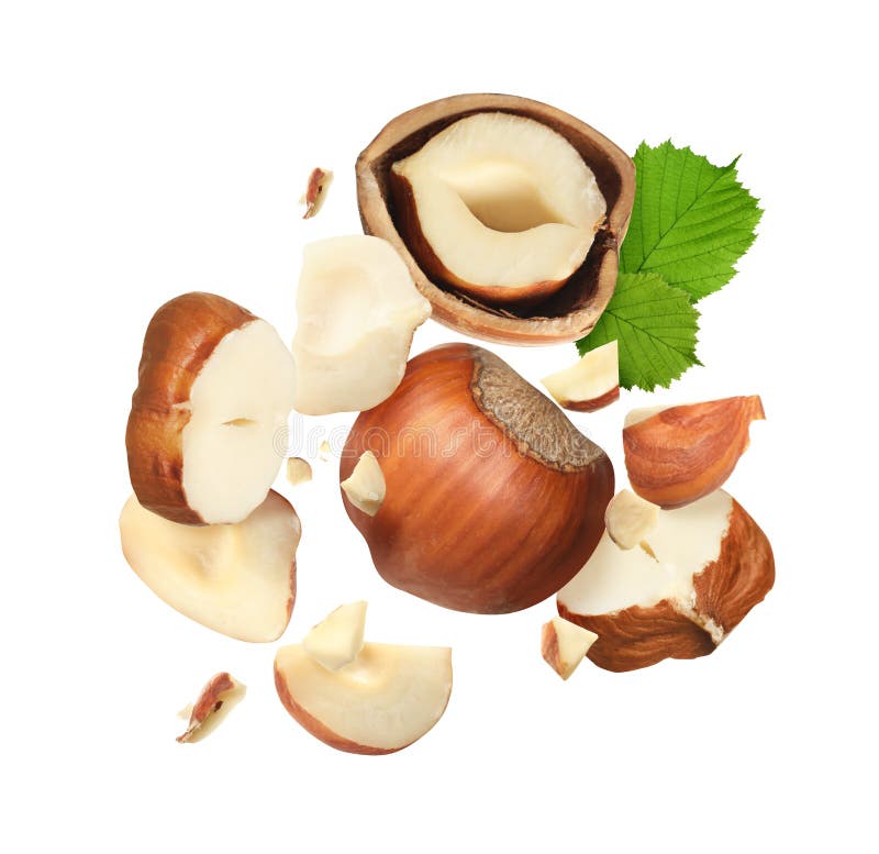 Pieces of Tasty Hazelnuts Falling on White Background Stock Image ... Pieces of Tasty Hazelnuts Falling on White Background Stock Image ...