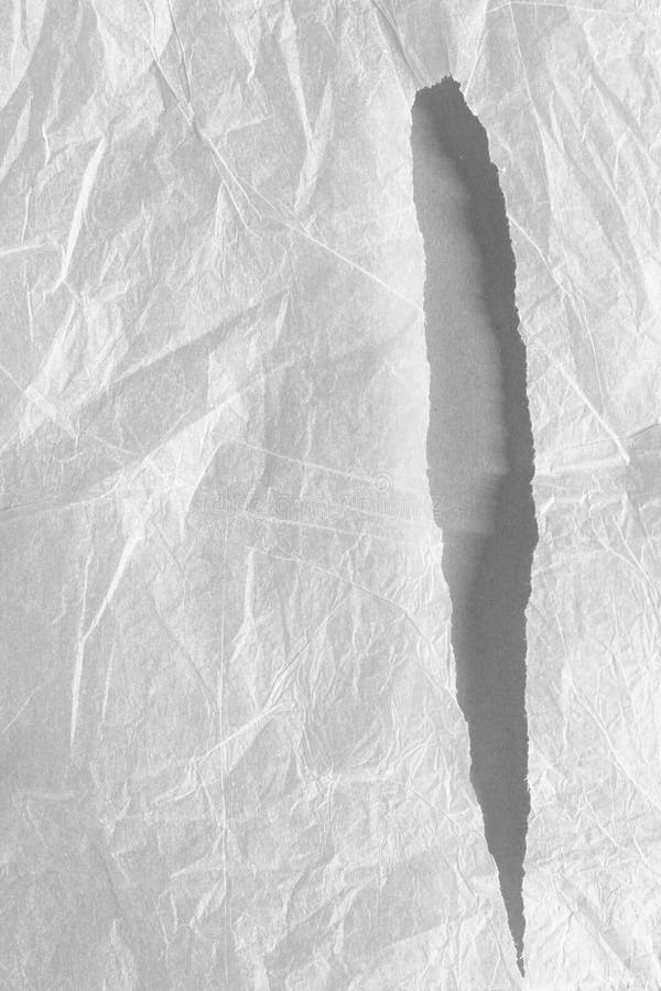 Torn rip paper stock image. Image of empty, card, education - 114889751