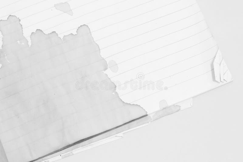Torn rip paper stock image. Image of notepad, gray, card - 117224741