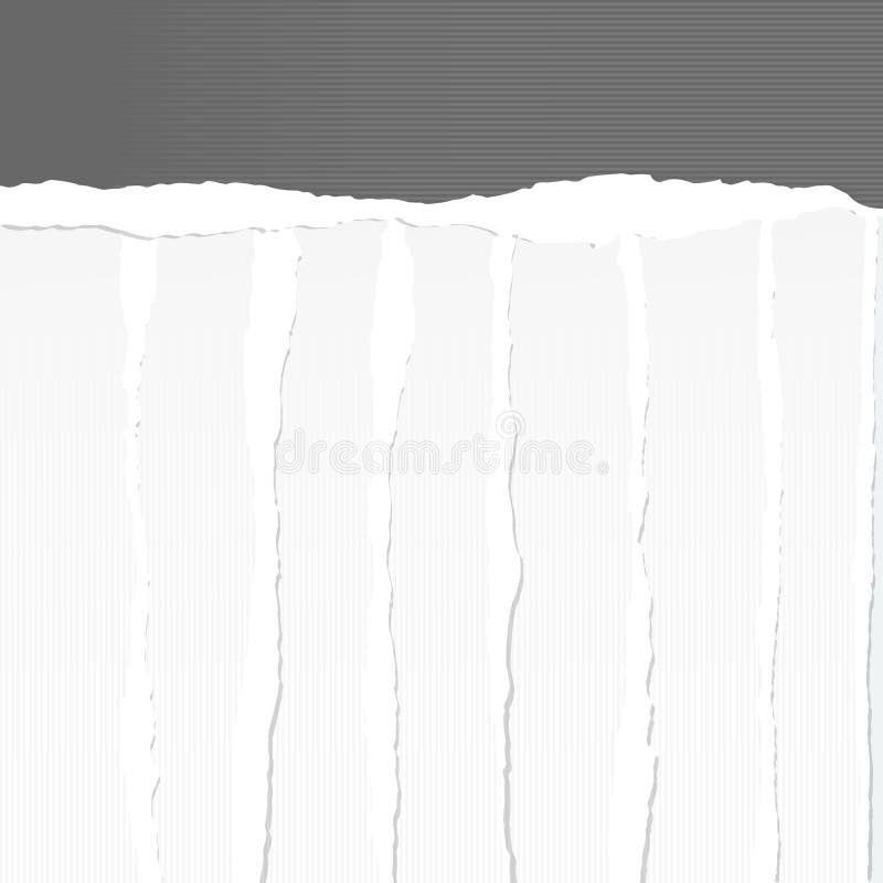 Pieces of Torn White Blank Lined Vertical and Horizontal Paper Sheets ...