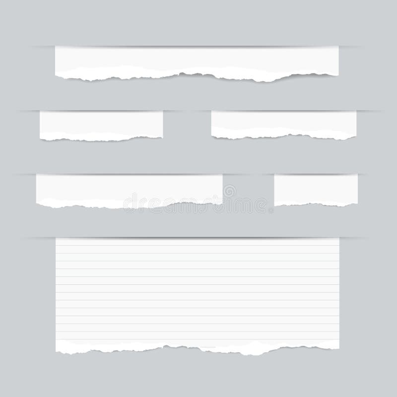 Pieces of Torn White Blank and Ruled Copybook Strips Inserted into Cut ...