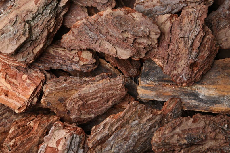Pieces of Tree Bark As Background, Top View Stock Image - Image of chip ...
