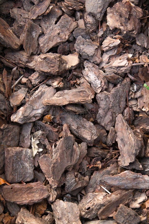 The pieces of tree bark stock image. Image of background - 89612351