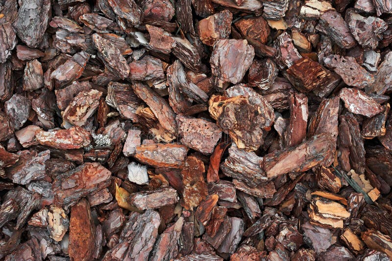 Pieces of Wood Bark for Background or Texture Stock Photo - Image of ...