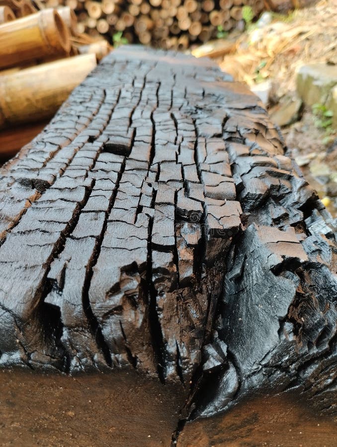 Pieces of Wood that Burn To Charcoal Stock Photo - Image of wood, burn ...