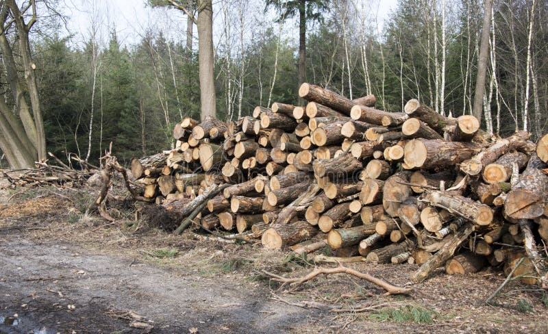 Pieces of wood stock image. Image of renewable, stacked - 30021887