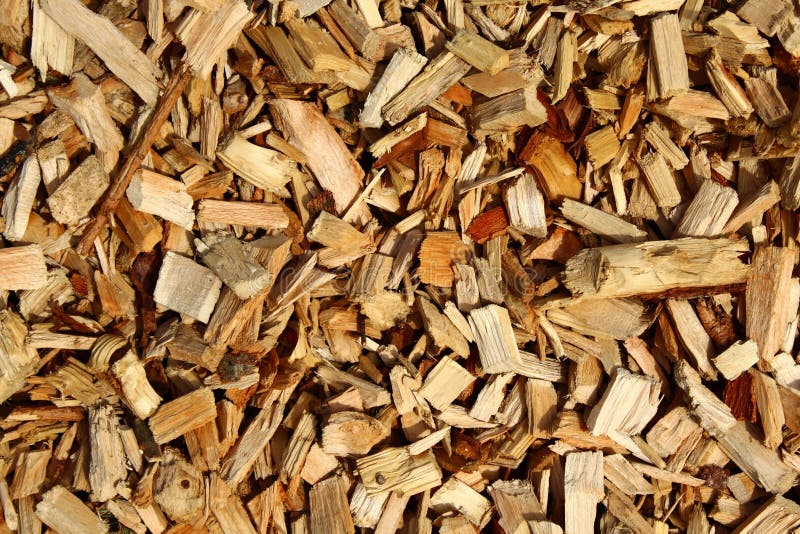 Pieces of wood stock image. Image of trees, wooden, wood - 143441149