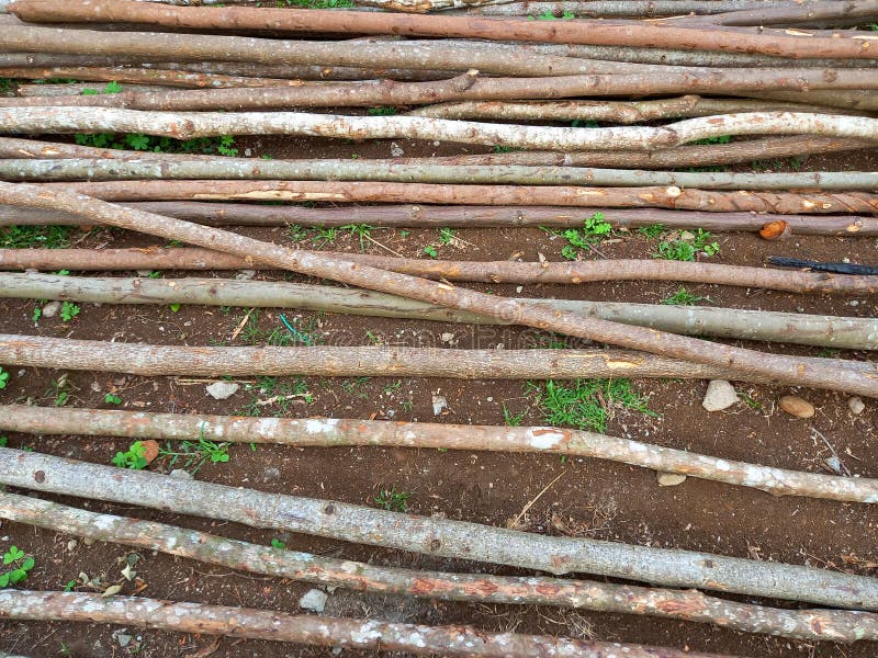 Pieces of Wood, Usually Used an Building Construction Stock Image ...