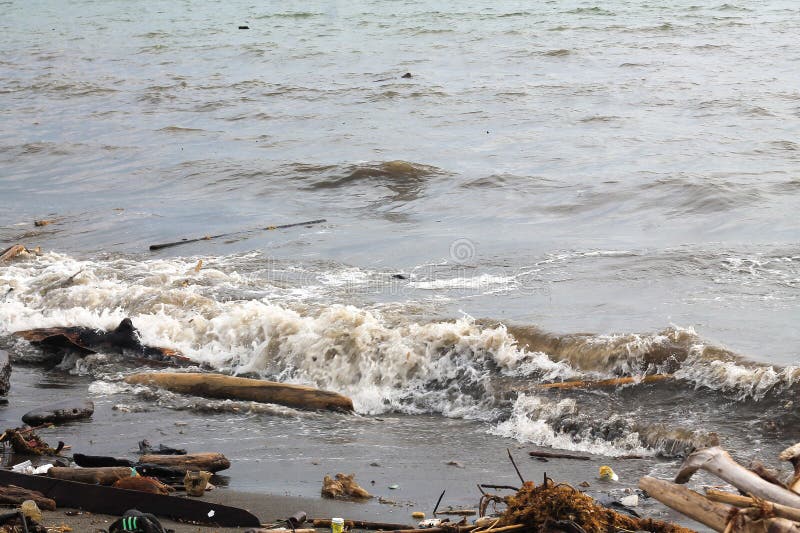 Pieces of Wood Washed Up by the Waves on the Beach Stock Photo - Image ...