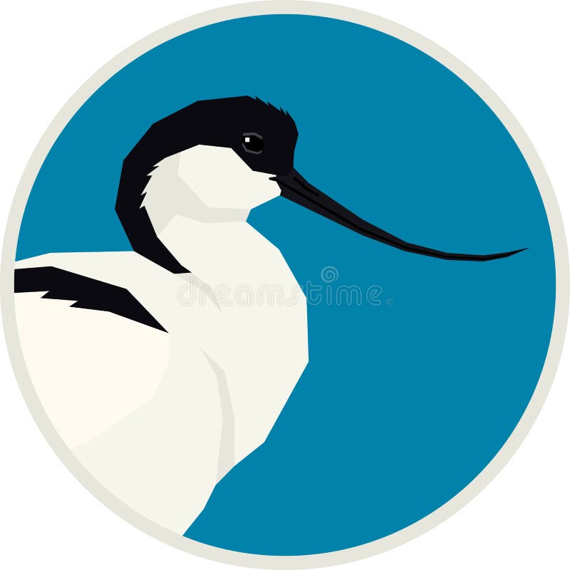 Pied Avocet Bird Vector Illustration Round Frame Stock Vector ...