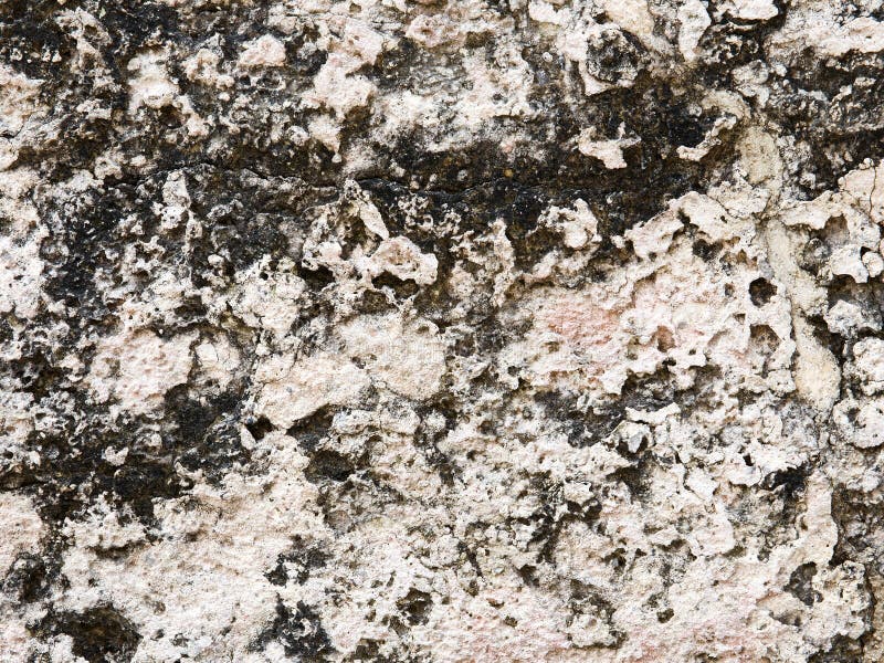 Estructura Porosa De La Piedra Arenisca Foto de archivo - Imagen de ...