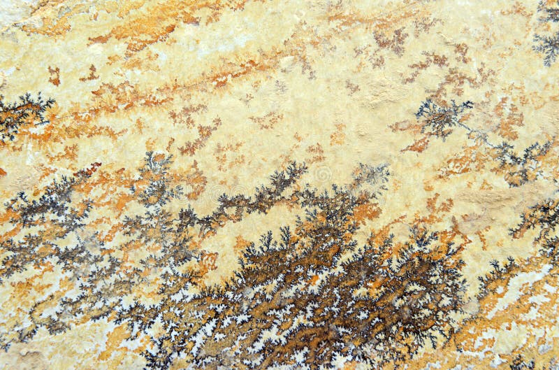 Piedra Caliza Con Las Dendritas Del Manganeso Foto de archivo - Imagen ...