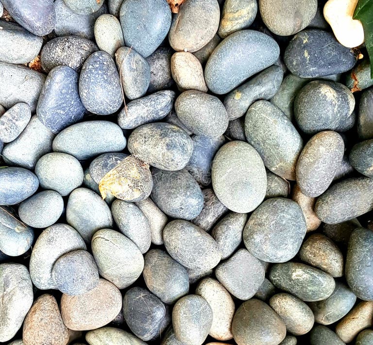 Piedra Material Roca En El Parque Foto de archivo - Imagen de guijarro ...