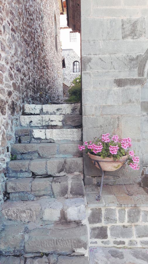 Piedra y flor imagen de archivo. Imagen de piedra, flor - 124426687