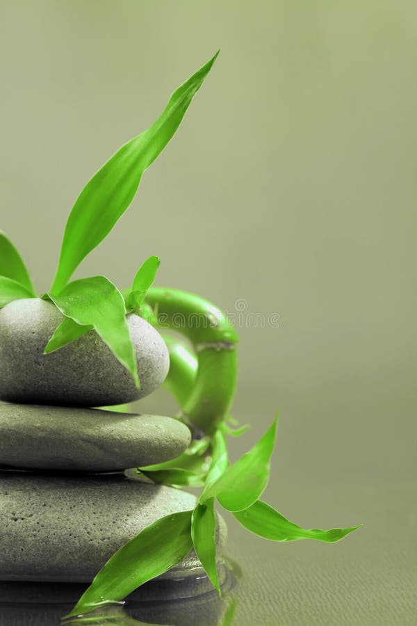 Piedras Y Hojas Del Zen Con Gotas Del Agua Imagen de archivo - Imagen ...