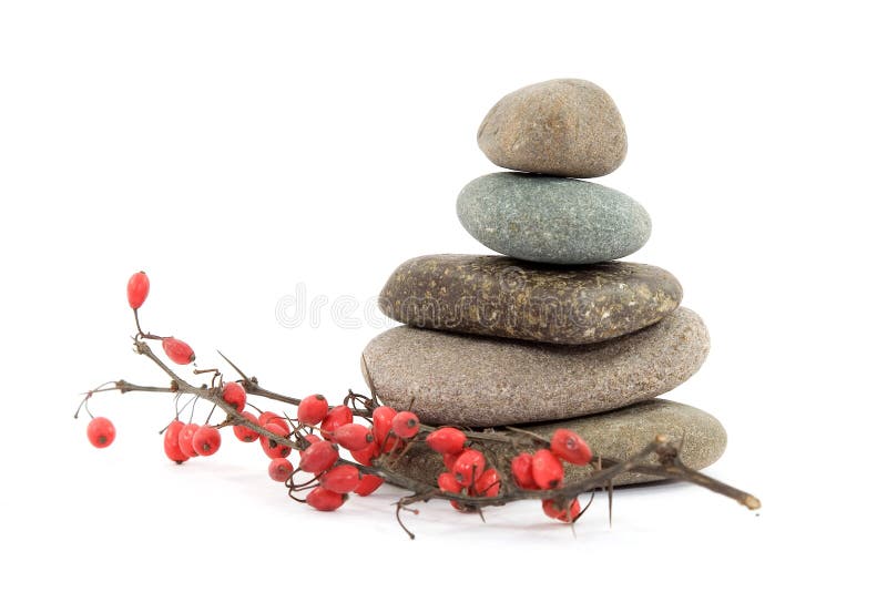 Piedras y flor del zen imagen de archivo. Imagen de flores - 5857165