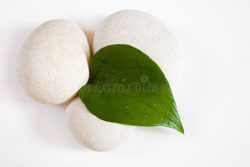 Piedras Del Zen Con La Hoja Verde Mojada Foto de archivo - Imagen de ...