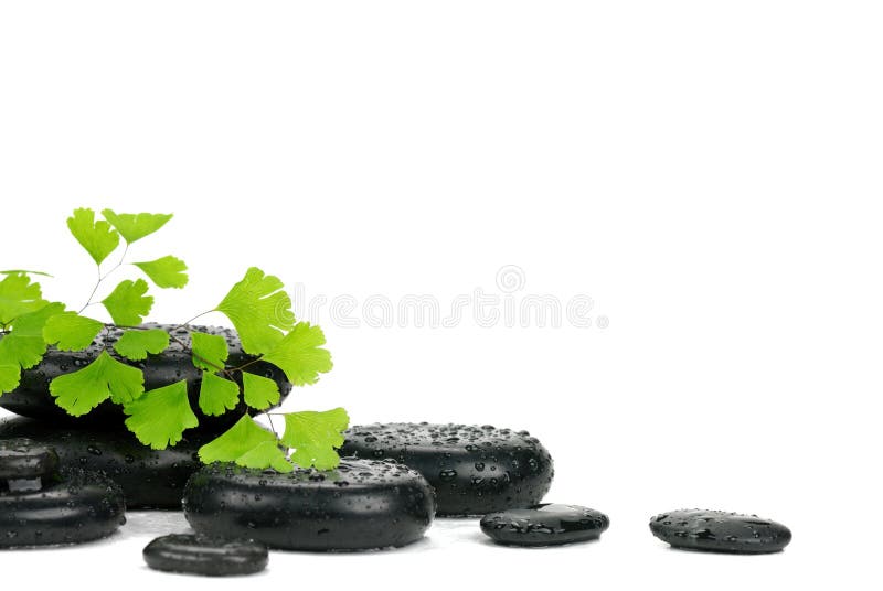 Piedras y hojas del zen imagen de archivo. Imagen de planta - 13756717