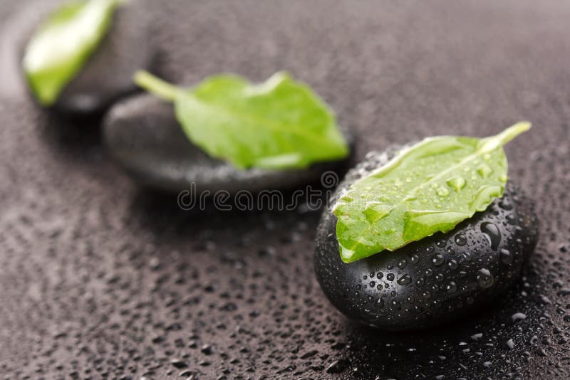 Piedras y hojas del zen foto de archivo. Imagen de hierba - 15111200