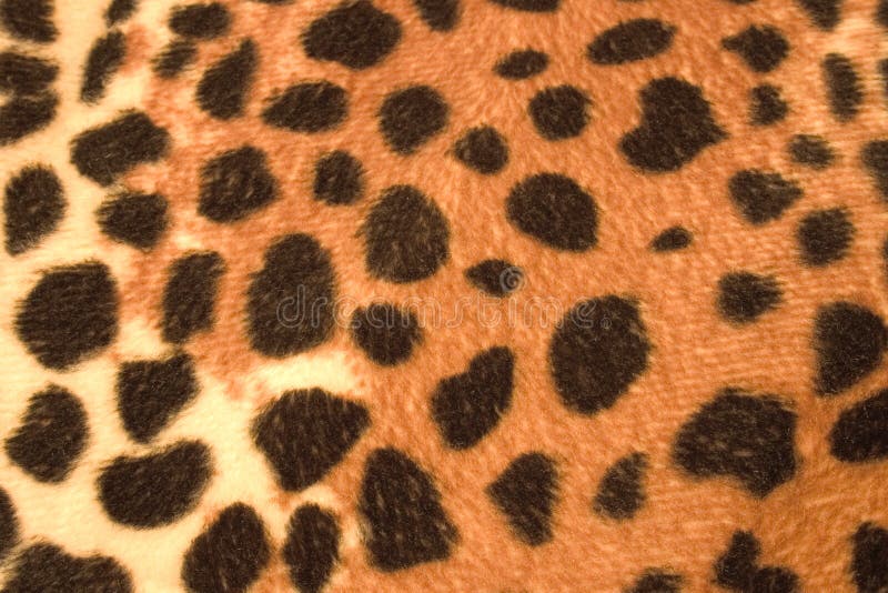 Piel animal imagen de archivo. Imagen de fondo, cazador - 4228623