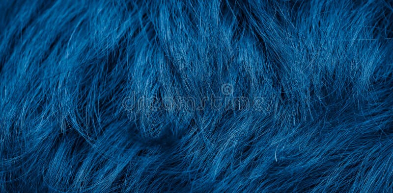 Piel Azul De Perro Con Textura Visible. Fondo Foto de archivo - Imagen ...