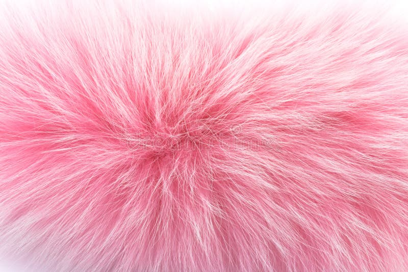 1,316 Piel De Rosa Fotos de stock - Fotos libres de regalías de Dreamstime