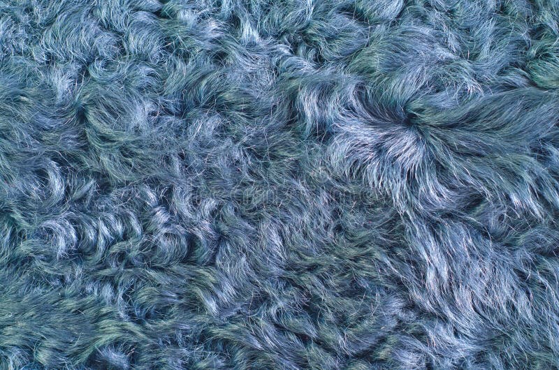 Piel gris imagen de archivo. Imagen de cierre, pelo, modelo - 34686485