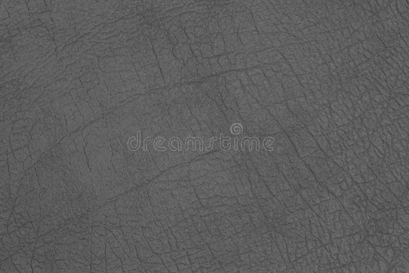 Piel Gris Oscuro Para Tu Fondo Foto de archivo - Imagen de superficie ...