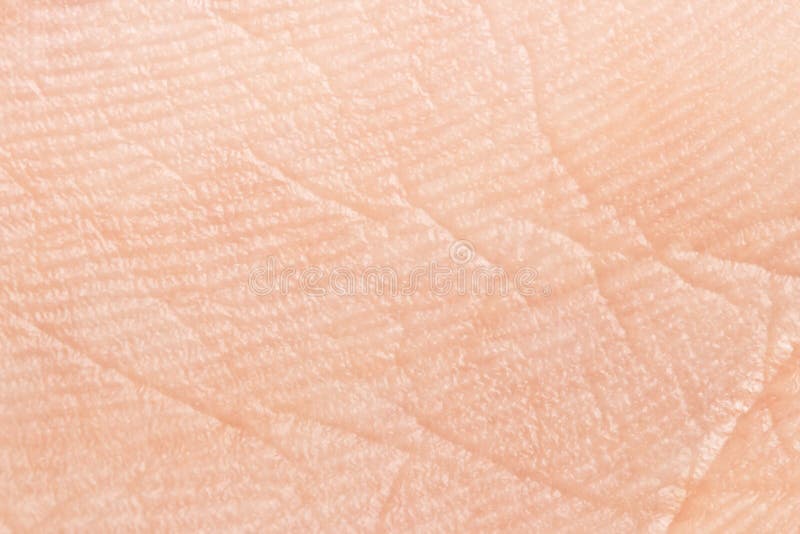 Piel humana foto de archivo. Imagen de detalle, macro - 23190242