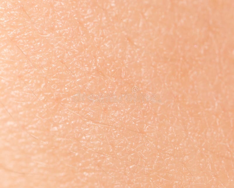 Piel Humana Como Fondo Macro Foto de archivo - Imagen de europeo ...